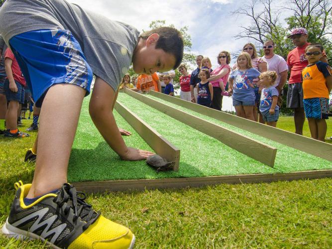 Turtles race to the finish at annual derby | Snyder County | dailyitem.com