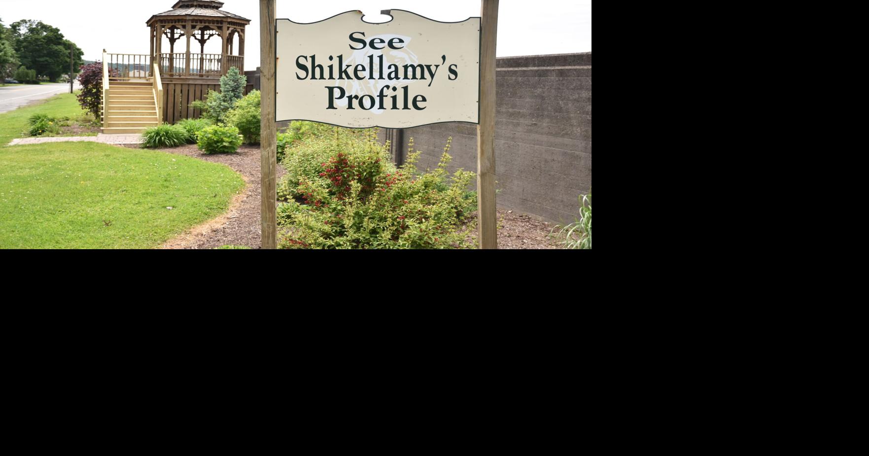 Chief Shikellamy profile gazebo repaired | News | dailyitem.com