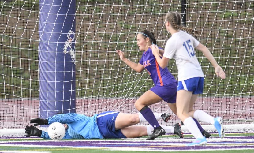 Danville wins first game of season | Sports | dailyitem.com