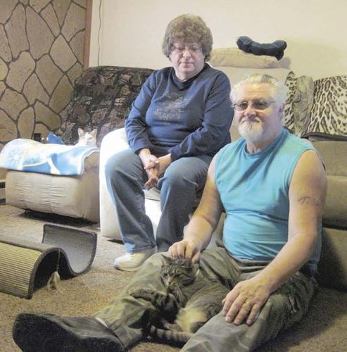 Three-legged ‘rocket’ at home in new home | News | dailyitem.com