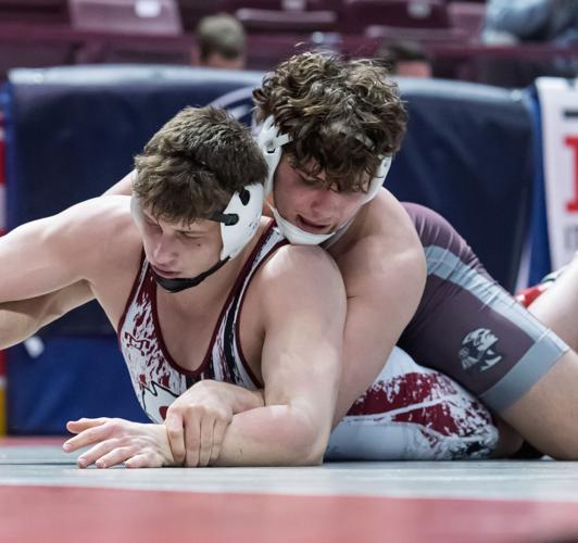 Rebuck wins two close matches for state bronze | Sports | dailyitem.com