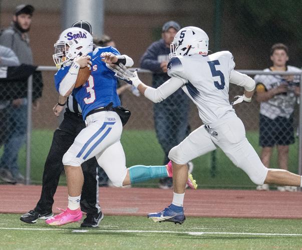 Seals make quick work of 'Cats | Sports | dailyitem.com