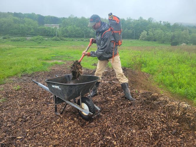 Four work during volunteer day at Turtle Creek Park | News | dailyitem.com