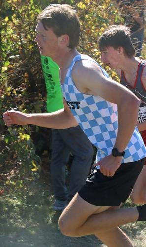 Hess wins first PIAA boys cross-country gold | Sports | dailyitem.com
