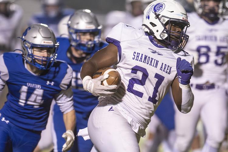 Four Shamokin stars, Pollock on 4A all-state team | Sports | dailyitem.com