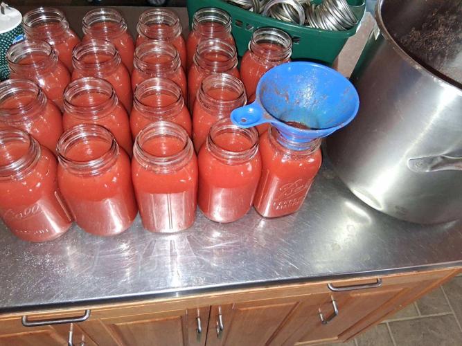 Lovina’s family grills 1,000 pounds of chicken | | dailyitem.com