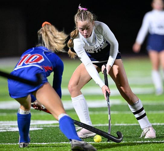 Hoy, Mifflinburg top Selinsgrove in district semi | Sports | dailyitem.com