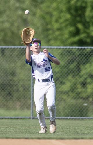 Dressler's hit has Selinsgrove one game from state tournament | Sports ...