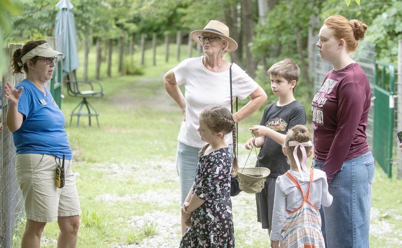 A DAY IN THE LIFE OF: T&D's Cats of the World houses a jungle in Valley ...