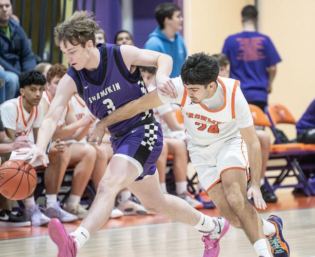 Shamokin routs Danville in district title rematch | Sports | dailyitem.com