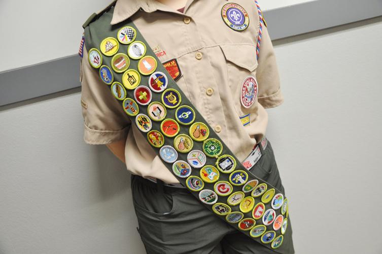 High-achieving Danville sophomore Scout earns Eagle Award | News ...