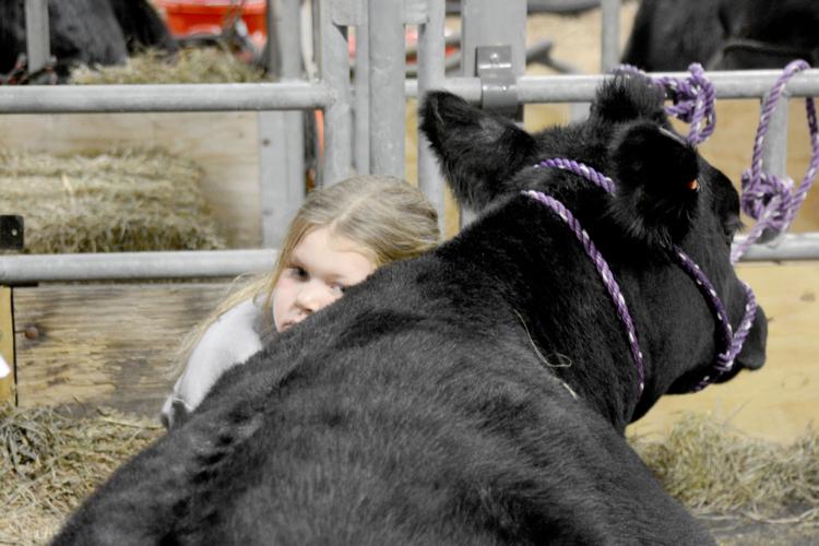 Thousands cram Farm Show | News | dailyitem.com