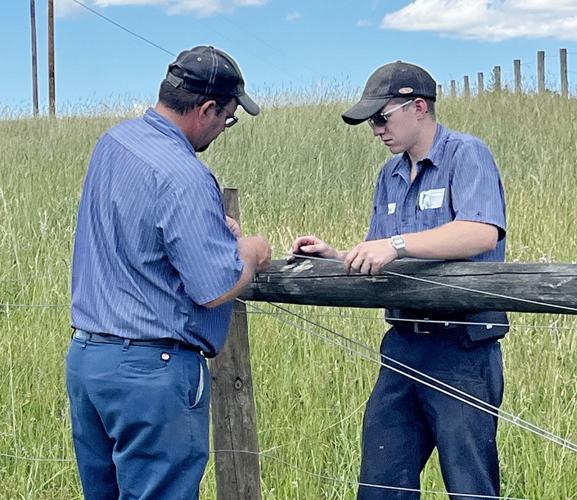 Line Mountain graduate Ferster named Pennsylvania FFA president | News ...