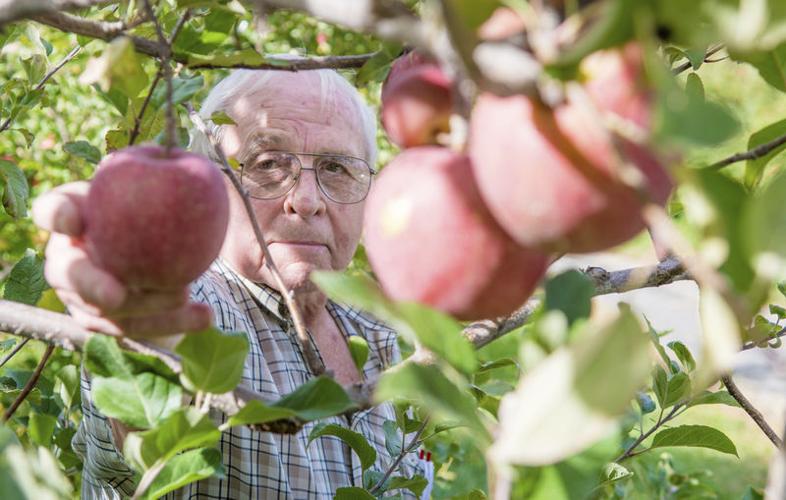 Farmers expect good fall harvest despite spring weather concerns ...