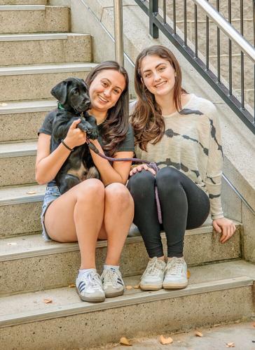 Duo helps build Bucknell's puppy-raising program | | dailyitem.com