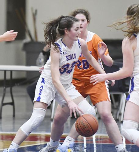 Dewald leads Ironmen past Seals | Sports | dailyitem.com