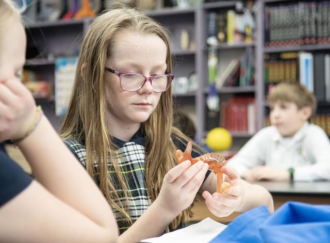 Career Day one of many special events celebrating Catholic Schools Week ...