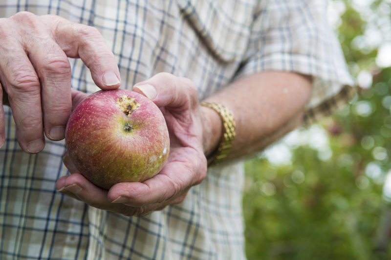 Farmers expect good fall harvest despite spring weather concerns ...