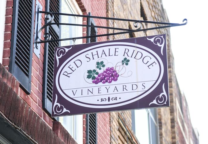 Area vineyards busy with harvests, festival season | News | dailyitem.com