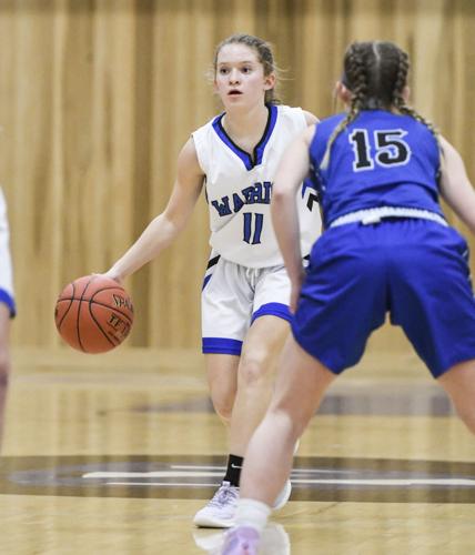 Ulmer, Northumberland Christian hold off South Williamsport | Sports ...