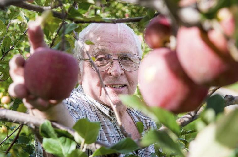 Farmers expect good fall harvest despite spring weather concerns ...