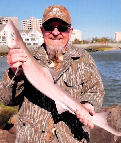 Terry L. Landis, 65, Selinsgrove | | dailyitem.com