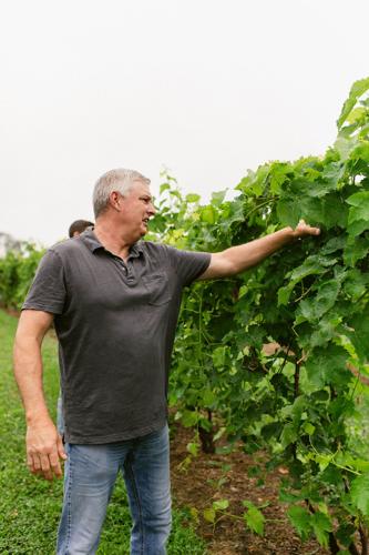 Schuylkill County winery wins gold at international event | News ...