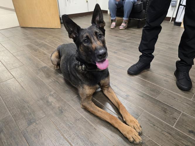 Union County Canine Unit receives $5,000 donation | News | dailyitem.com