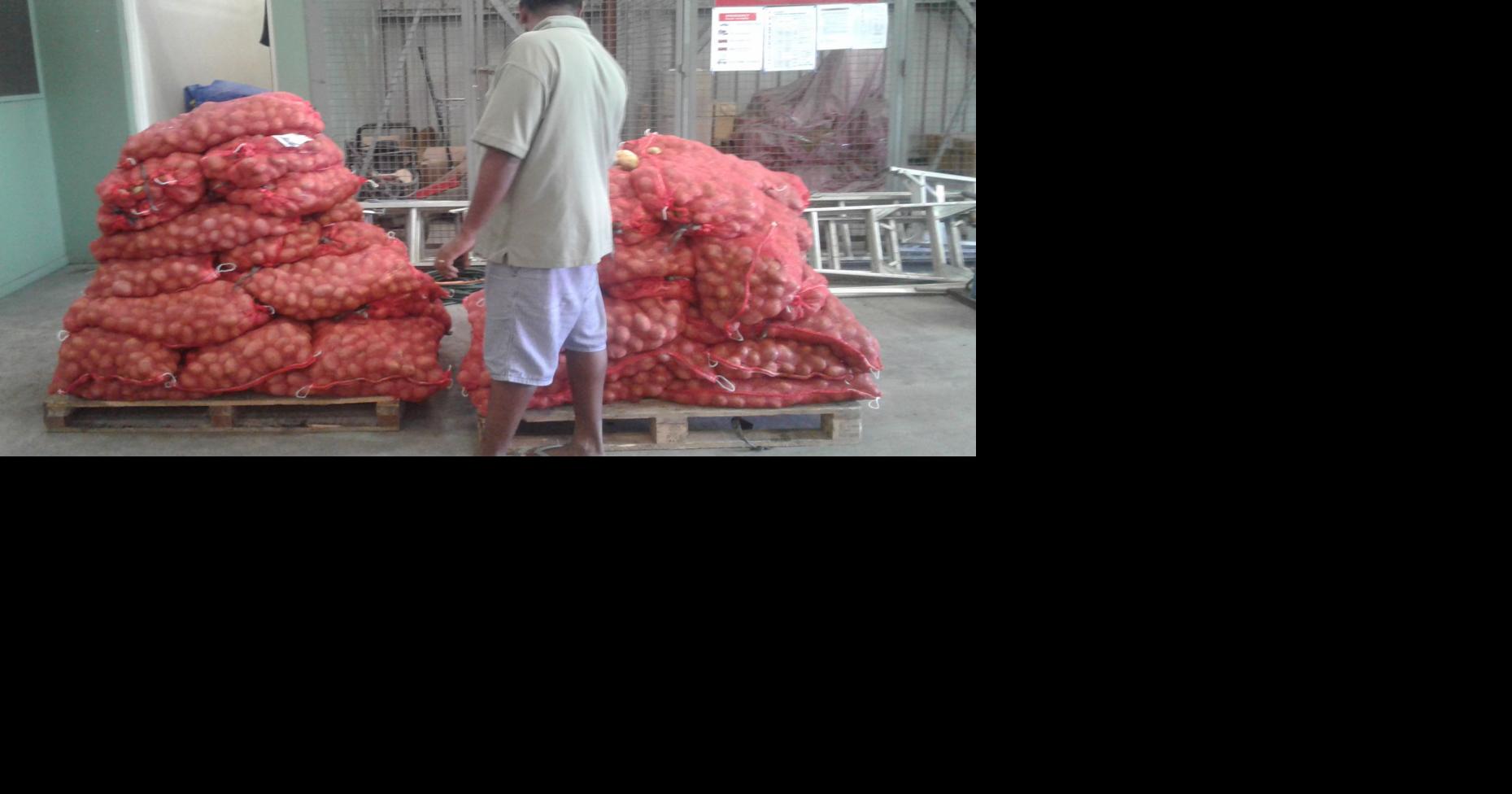 Countdown to planting potatoes | News | dailypost.vu