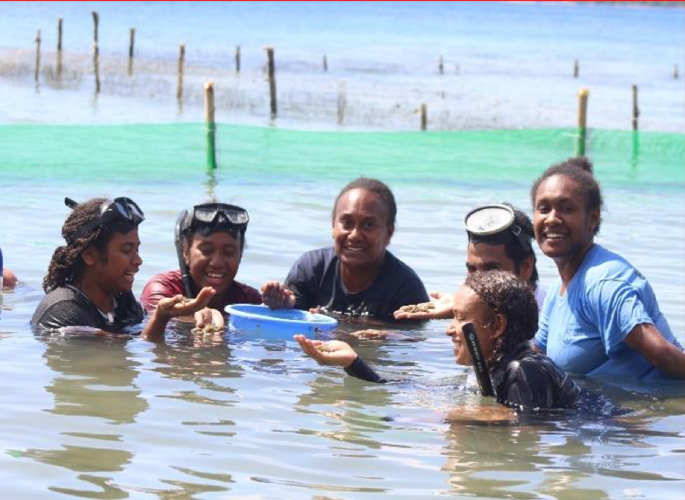 Vanuatu hosts South-South Sea Ranching Training | News | dailypost.vu