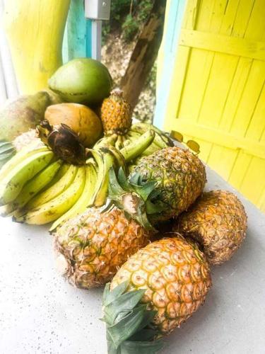 Pikinini Bar revolutionises healthy living and local economy | News ...