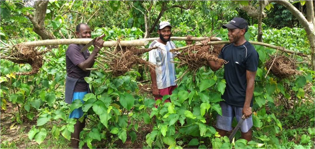 New FAO project to boost Vanuatu’s capacity for implementing National ...