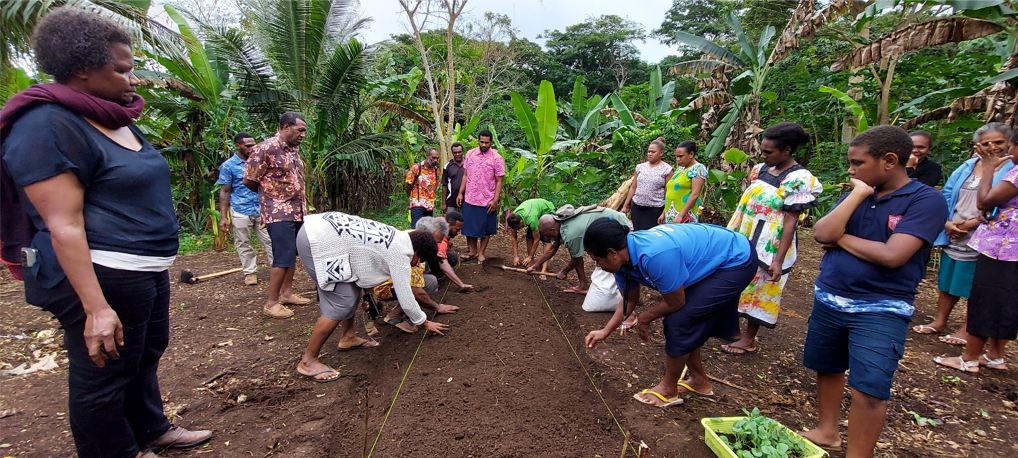 Epauto School garden to be model of backyard gardening | News ...