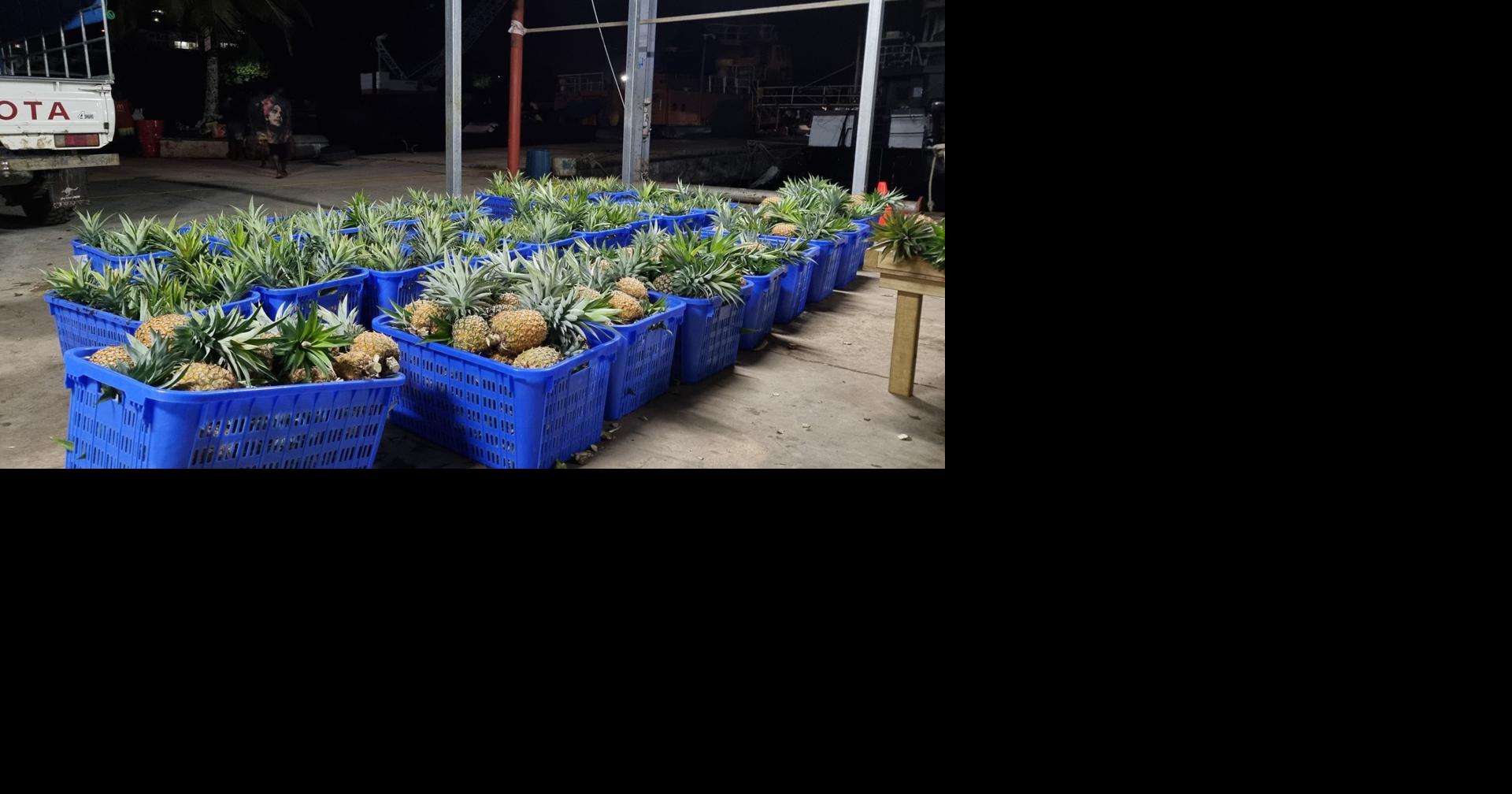 Tropical Fruits Vanuatu prepares for U.S. market | News | dailypost.vu