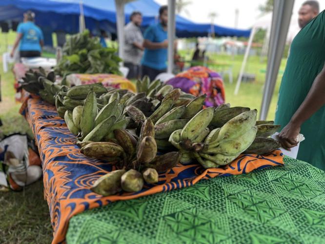 V-Lab’s first Live e-Market Day a success | News | dailypost.vu