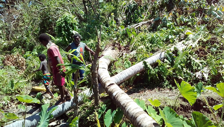 Tasiriki Community Water Taro Project Destroyed by TC Harold | News ...