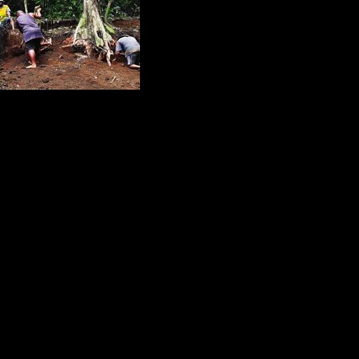 Lowainasasa: the Dreams, Challenges and Pitfalls of Rural Development ...