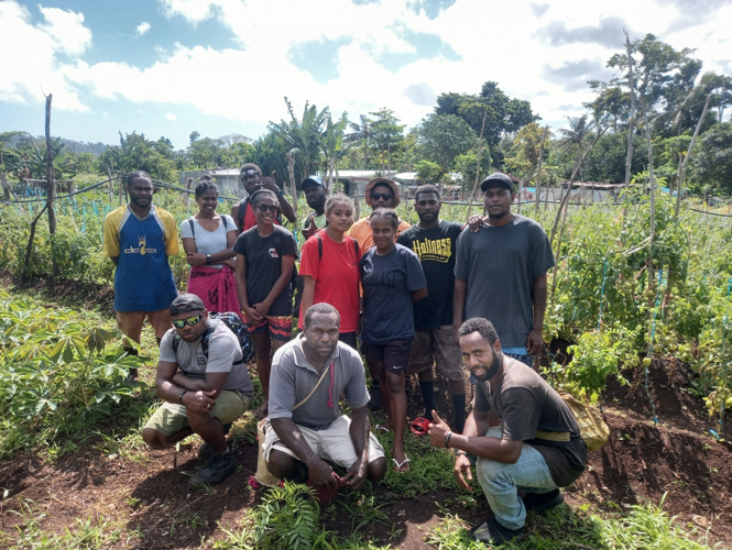 Bethel Farm: Revolutionising Tomato Farming for Self-Reliance and ...