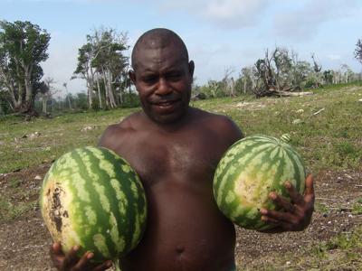 Ni-Vanuatu farmers make it big | News | dailypost.vu