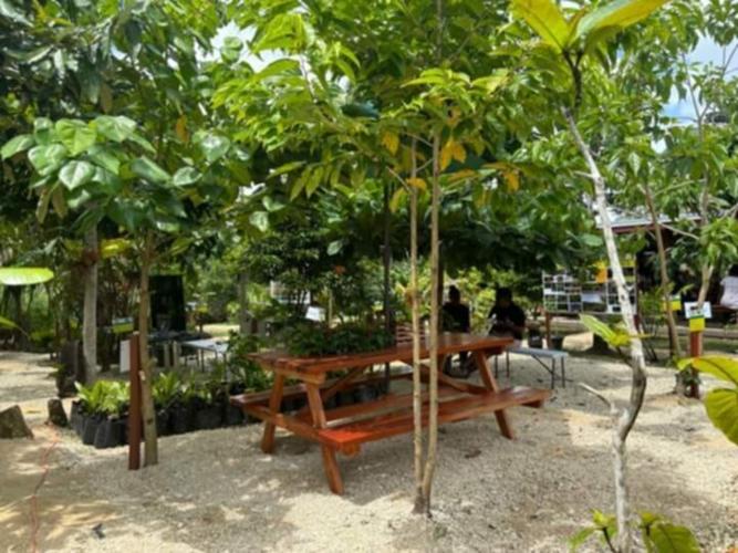 Vanuatu Botanical Garden Project preserves native plants and cultural ...
