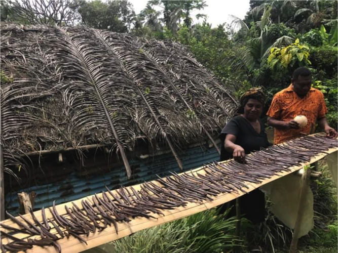 Farmers to Improve Curing Process of Vanilla to Produce Top Quality ...