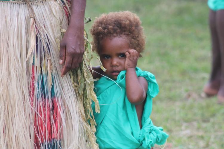 Tanna Custom Dance symbolises yam season | News | dailypost.vu