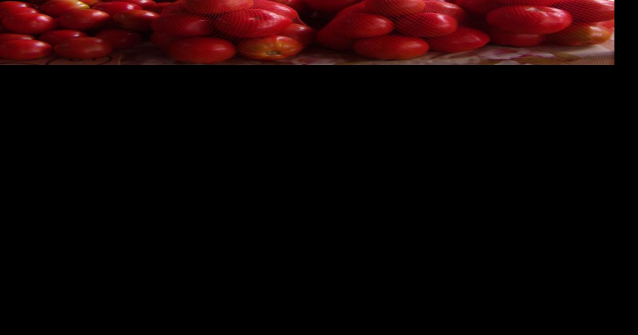 Vanuatu Indigenous Roots invites public to launch | News | dailypost.vu