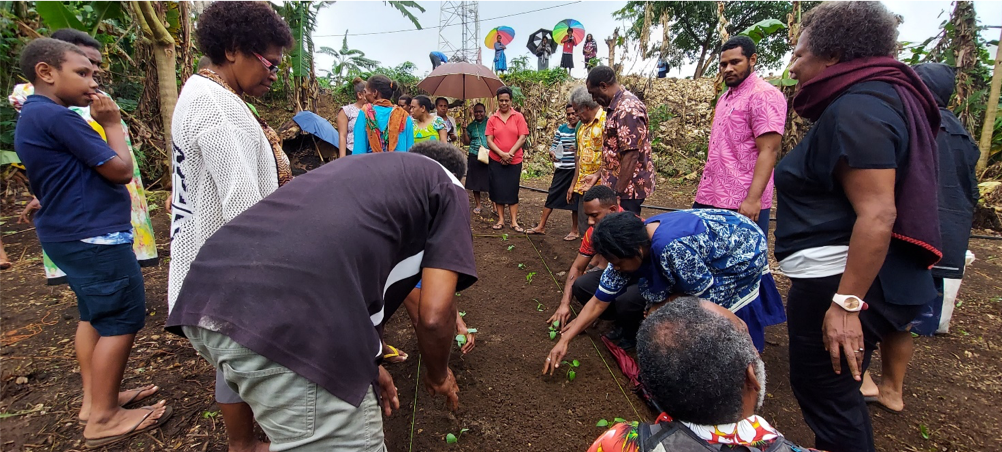 Epauto School garden to be model of backyard gardening | News ...