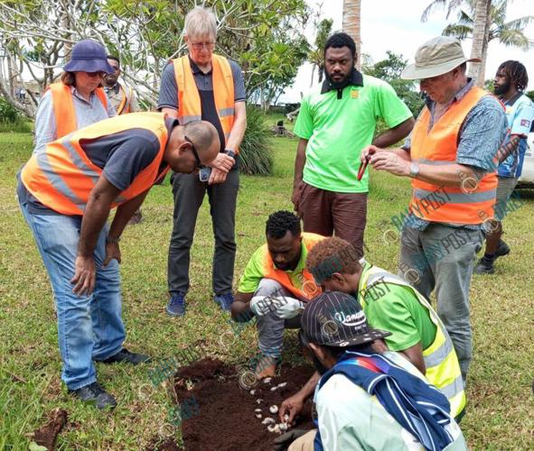 Virus released in rhinoceros heavily infested areas | News | dailypost.vu