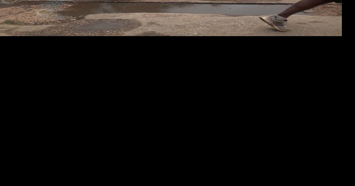 City Council Blames Tree Roots for VT1M Water Bill | News | dailypost.vu