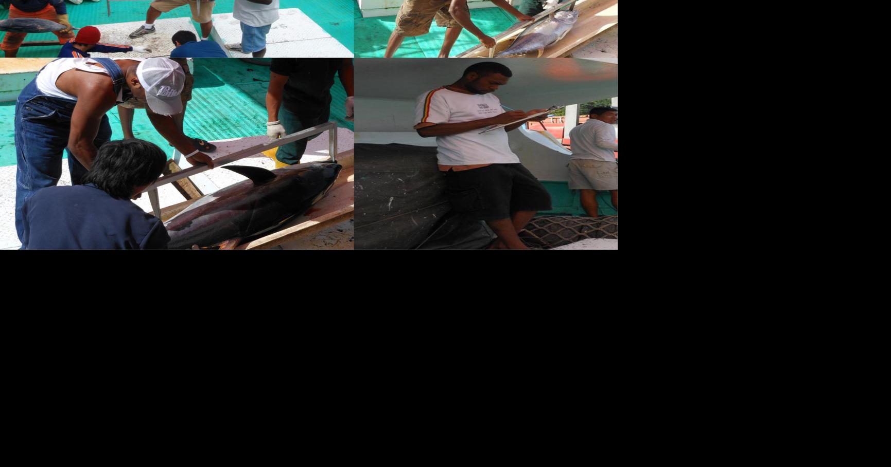 Tuna heroes on the frontline | News | dailypost.vu