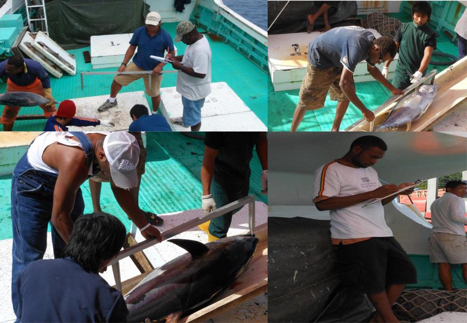 Tuna heroes on the frontline | News | dailypost.vu