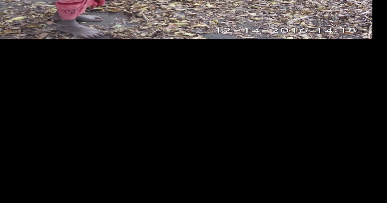 Lenakel Hospital Dengue Taskforce working hard | News | dailypost.vu