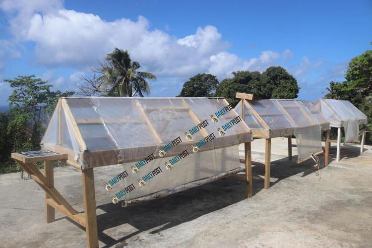 Nguna Island Villagers Use Solar Dryers to Improve Food Security and ...